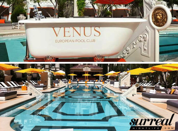 Venus Pool Lounge | Surreal